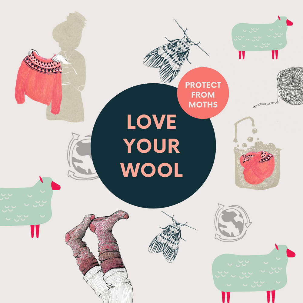 How to Protect Your Wool Clothing from Moths - Woollykins